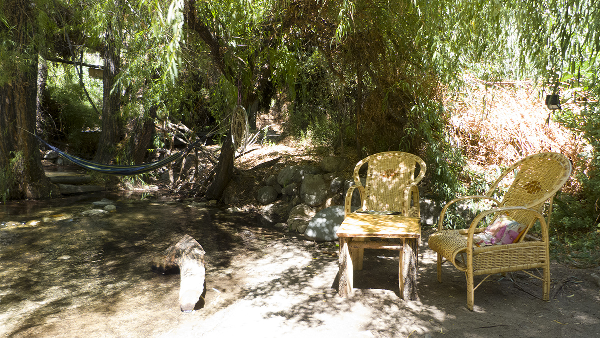 EL BOSQUE HORCÓN: UNIÓN DE NATURALEZA Y GASTRONOMÍA LOCAL EN VALLE DE ...
