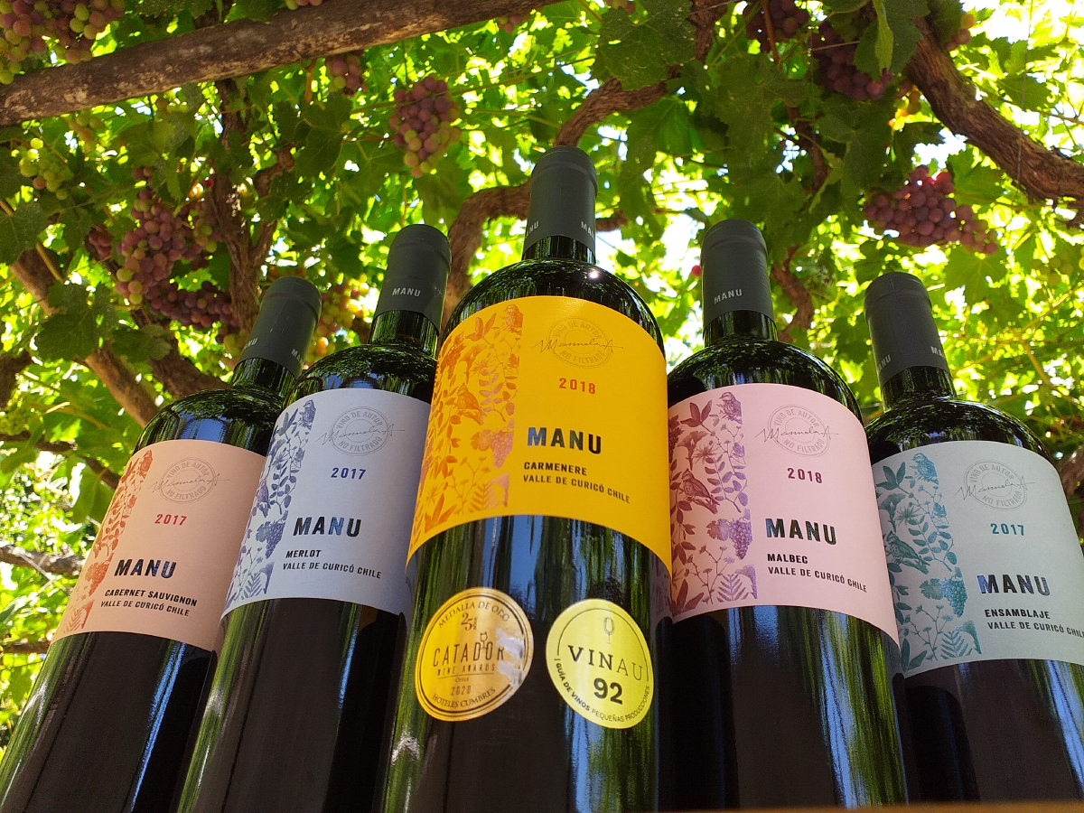 VINOS MANU: VINOS DE AUTOR CON ALTA PERSONALIDAD DESDE CURICÓ - Como Me ...
