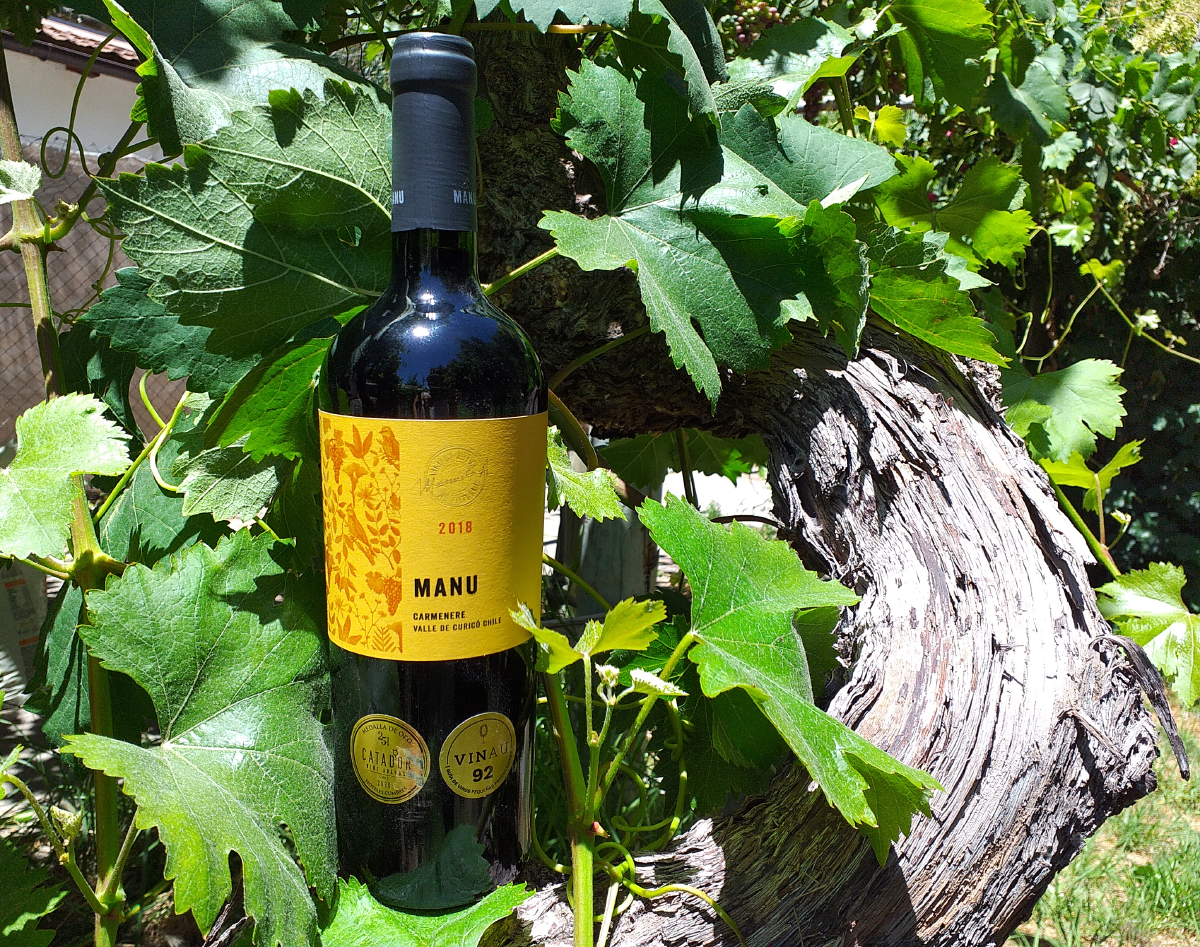 VINOS MANU: VINOS DE AUTOR CON ALTA PERSONALIDAD DESDE CURICÓ - Como Me ...