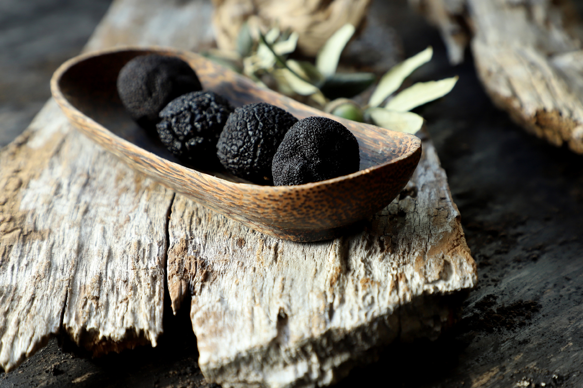 LA TRUFA: EL ATRACTIVO ORO NEGRO QUE INNOVA EN LA GASTRONOMÍA - Como Me ...