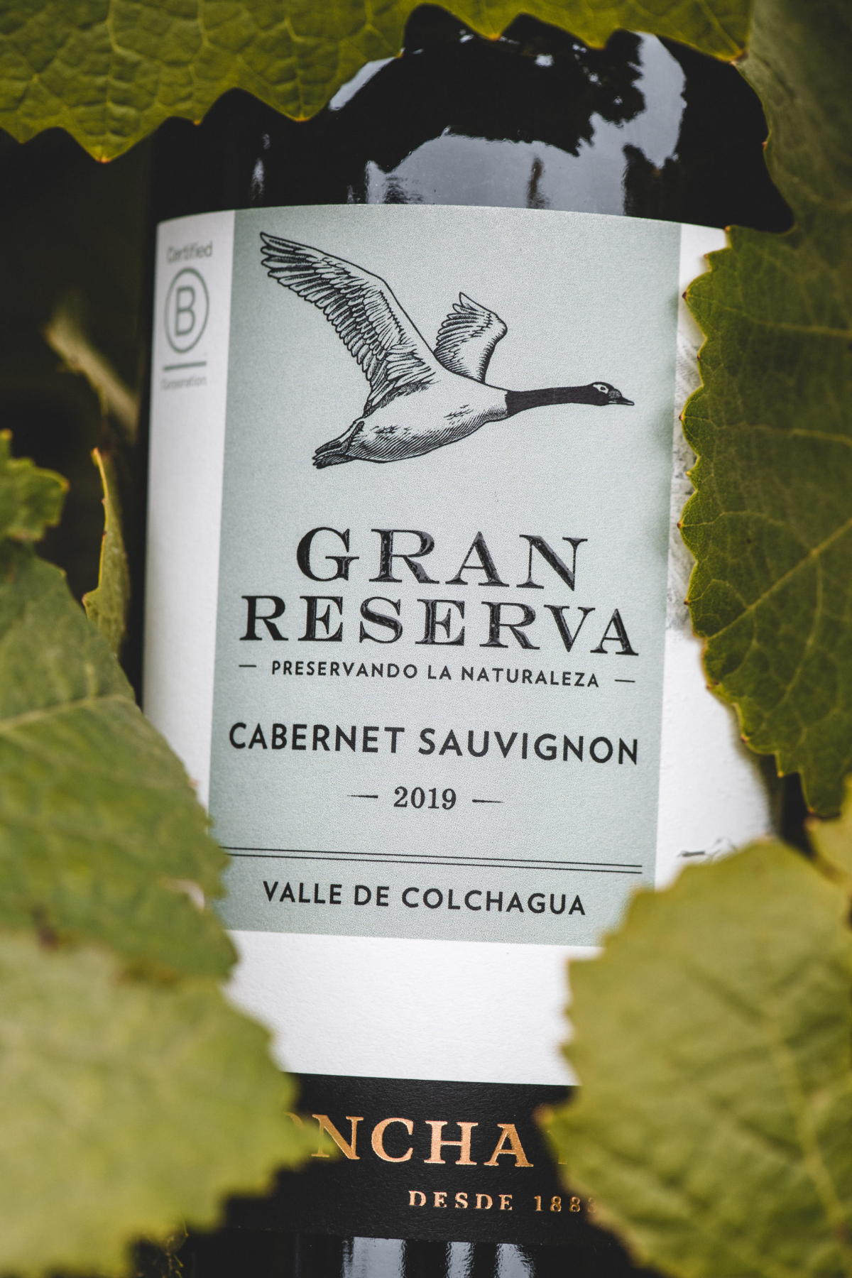 Gran Reserva: la nueva marca de Concha y Toro y su fuerte compromiso ...