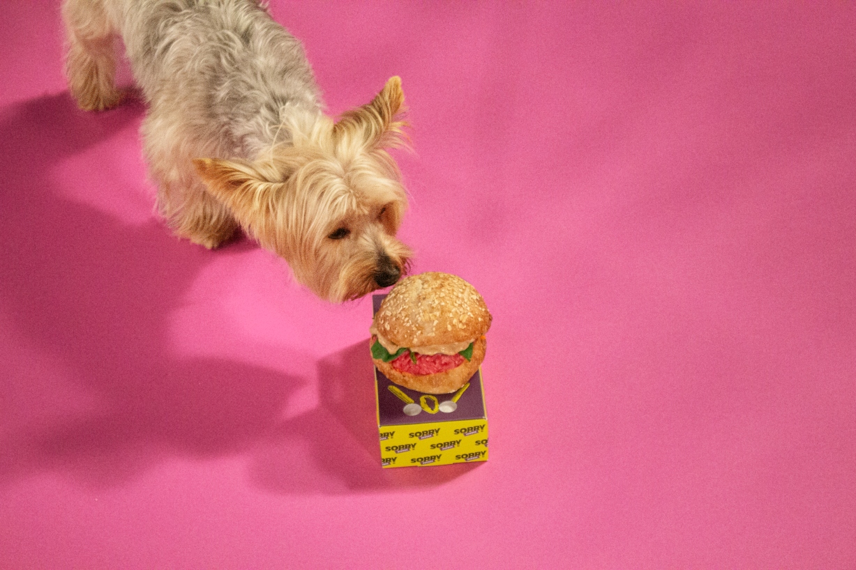 Sorry Burger lanza “Terry Burger”, la primera hamburguesa 100% para ...