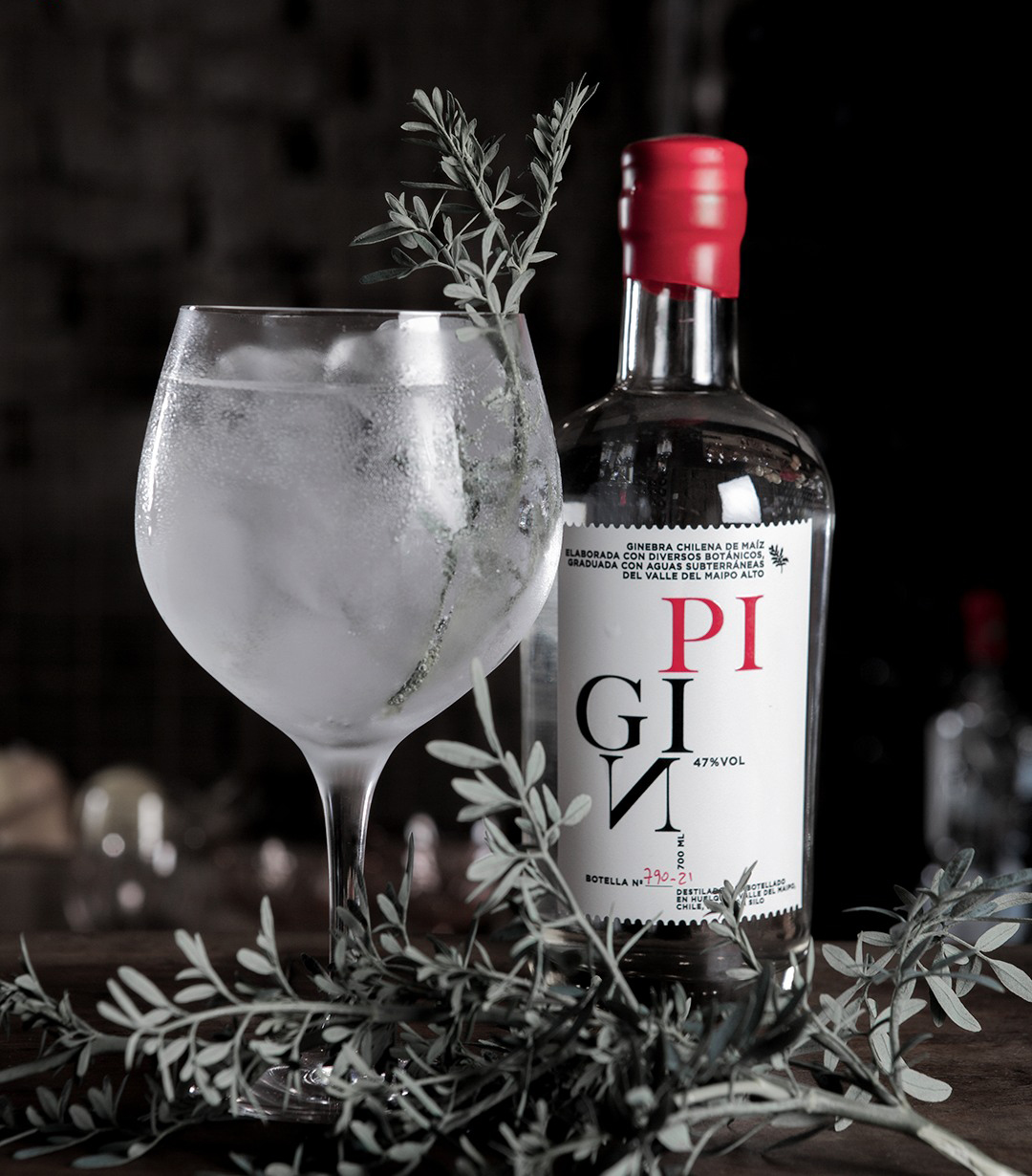 GIN PIGIN: DESDE ALTO MAIPO HASTA LOS PALADARES MÁS "PIGINES" DE CHILE ...
