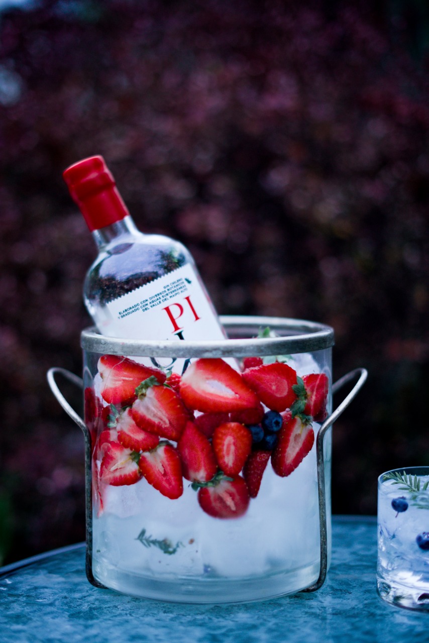 GIN PIGIN: DESDE ALTO MAIPO HASTA LOS PALADARES MÁS "PIGINES" DE CHILE ...