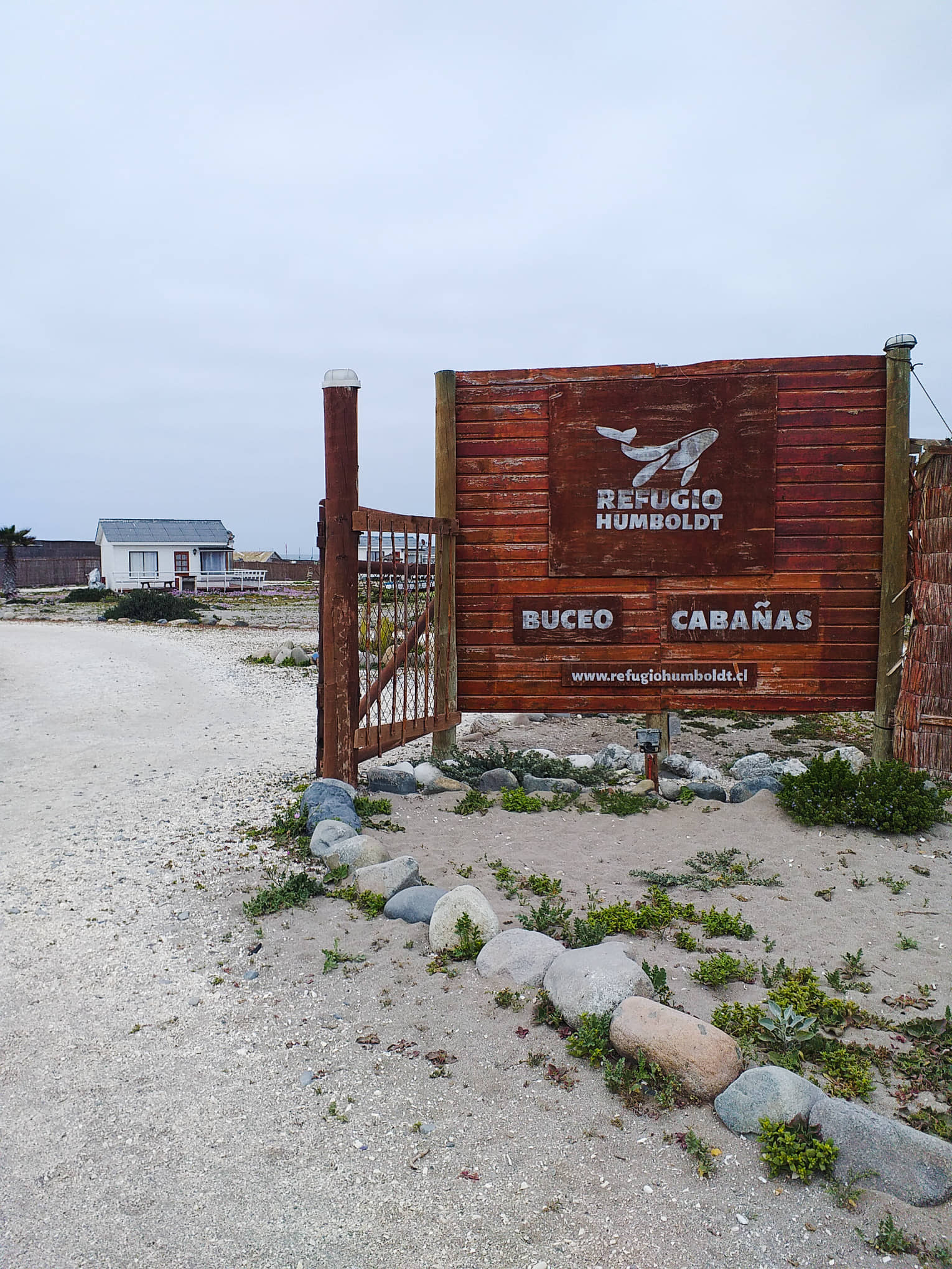 Punta de Choros: sus bondades y biodiversidad única en el mundo - Como ...