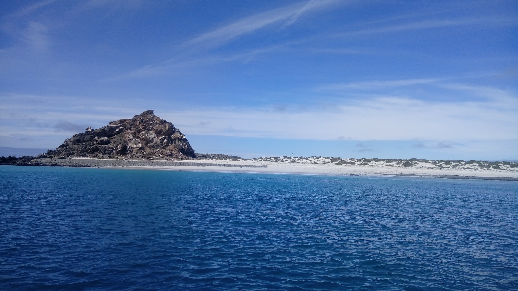 Punta de Choros: sus bondades y biodiversidad única en el mundo - Como ...