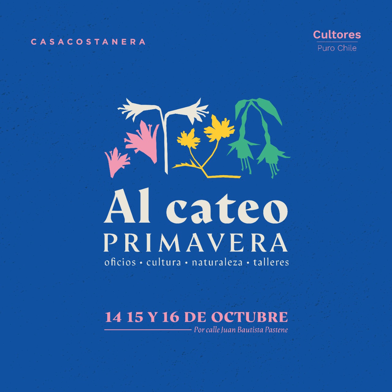 Huerto, mercado y cocina: FERIA AL CATEO TENDRÁ SU 1° VERSIÓN EN ...
