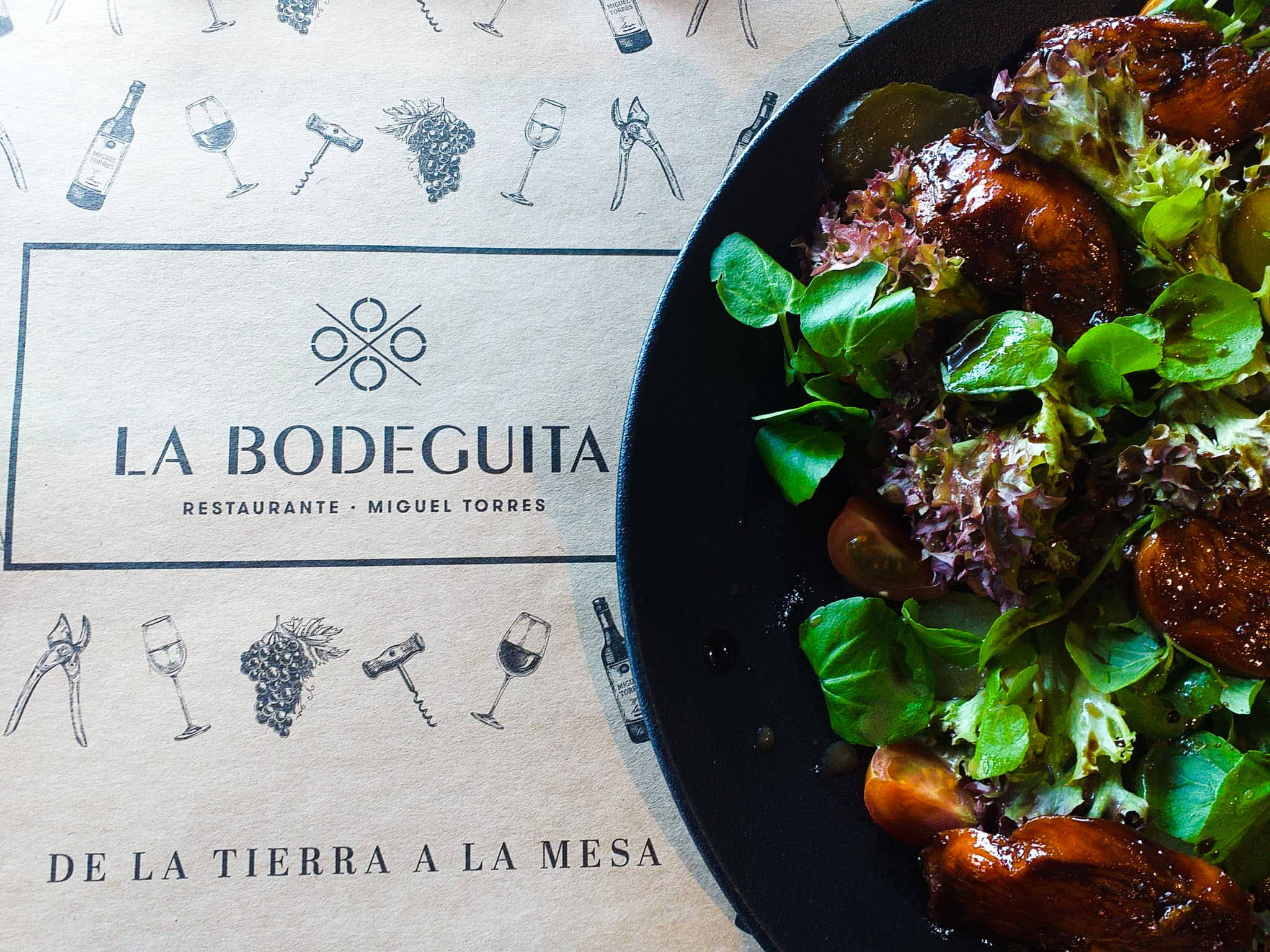 LA BODEGUITA DE MIGUEL TORRES: UNA JOYA GASTRONÓMICA EN EL CORAZÓN DE ...