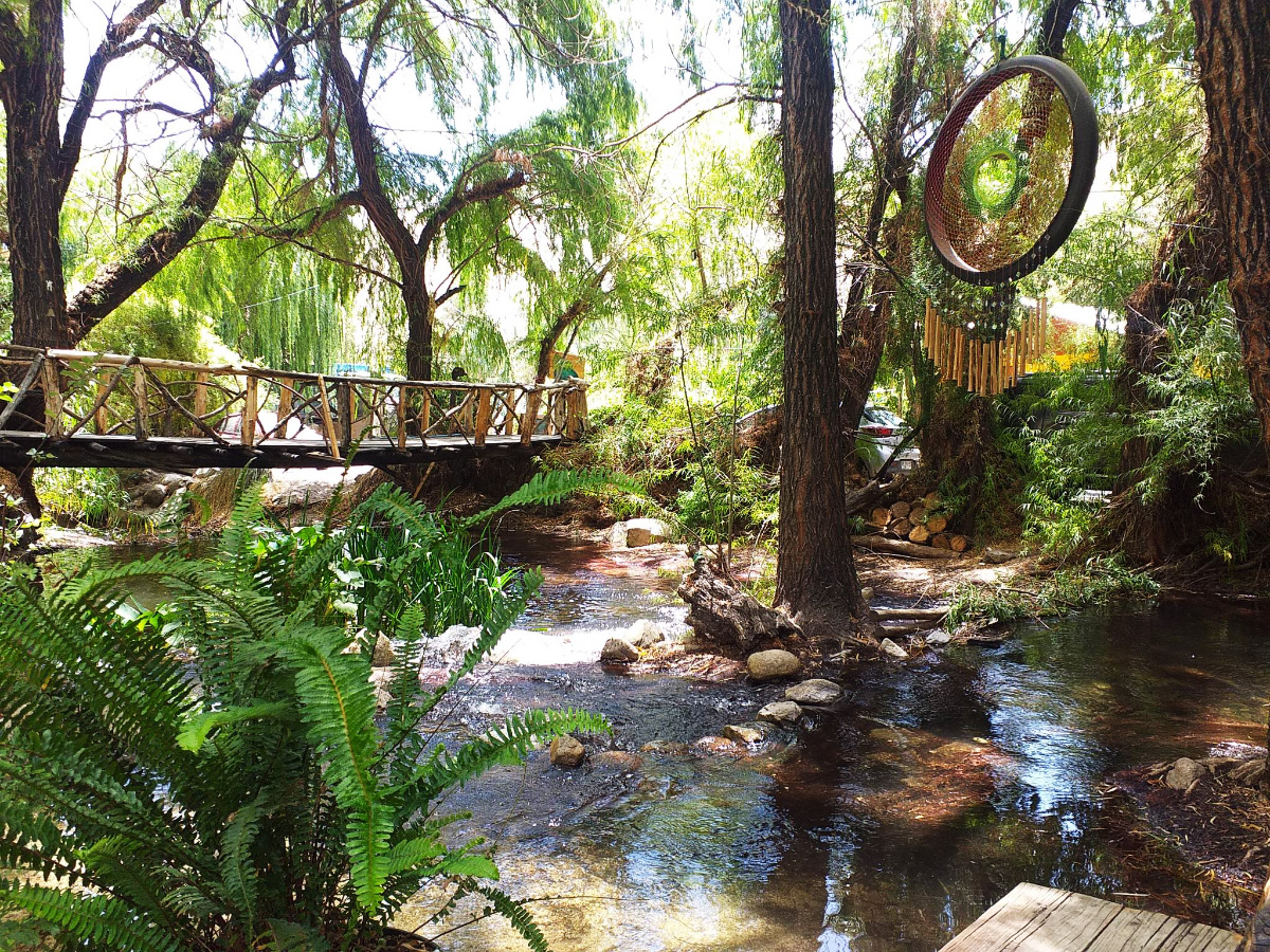 EL BOSQUE RESTAURANT: APETITOSAS PREPARACIONES EN LA CORDILLERA ELQUINA ...