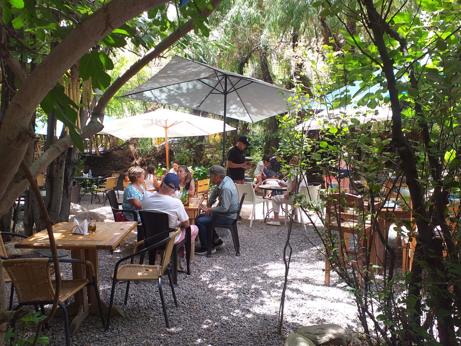 EL BOSQUE RESTAURANT: APETITOSAS PREPARACIONES EN LA CORDILLERA ELQUINA ...