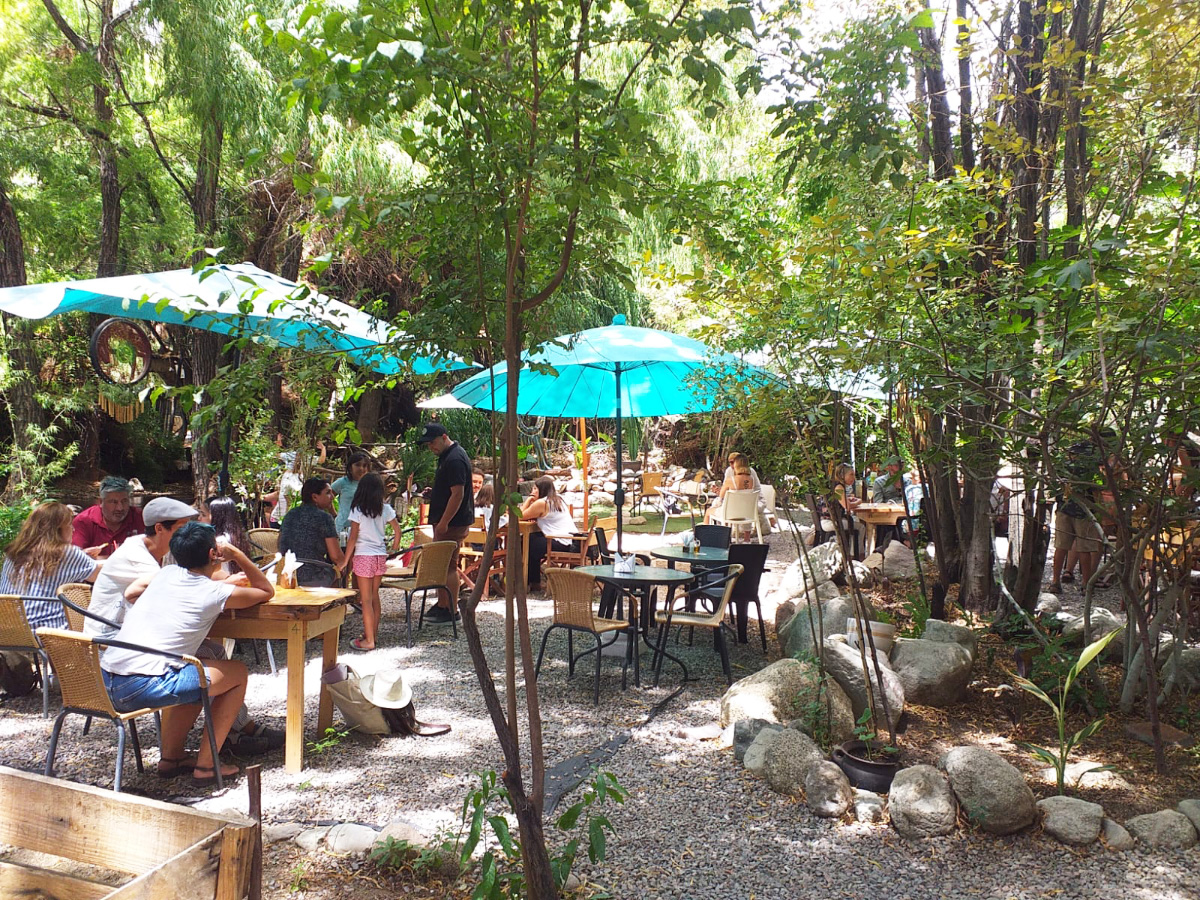 EL BOSQUE RESTAURANT: APETITOSAS PREPARACIONES EN LA CORDILLERA ELQUINA ...