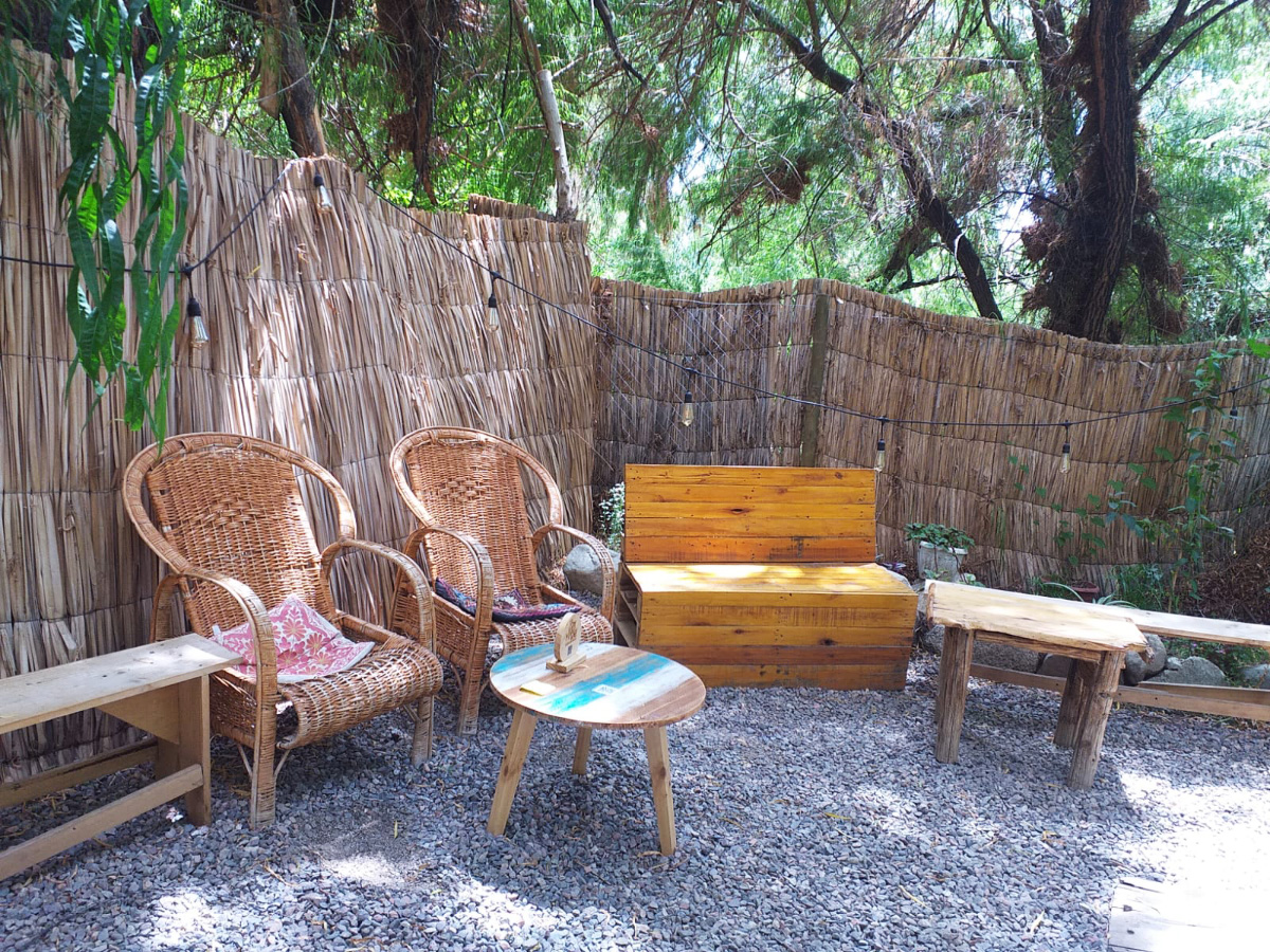 EL BOSQUE RESTAURANT: APETITOSAS PREPARACIONES EN LA CORDILLERA ELQUINA ...