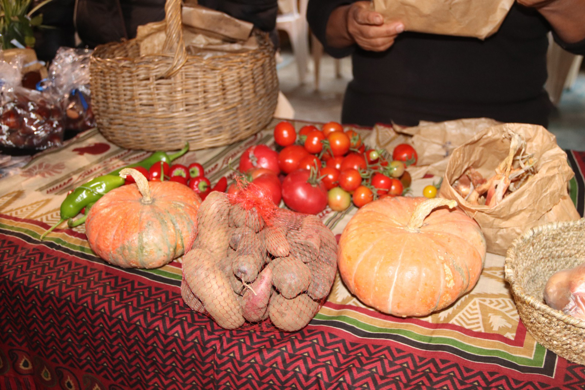Lanzan catálogo que recopila 100 variedades de semillas tradicionales ...