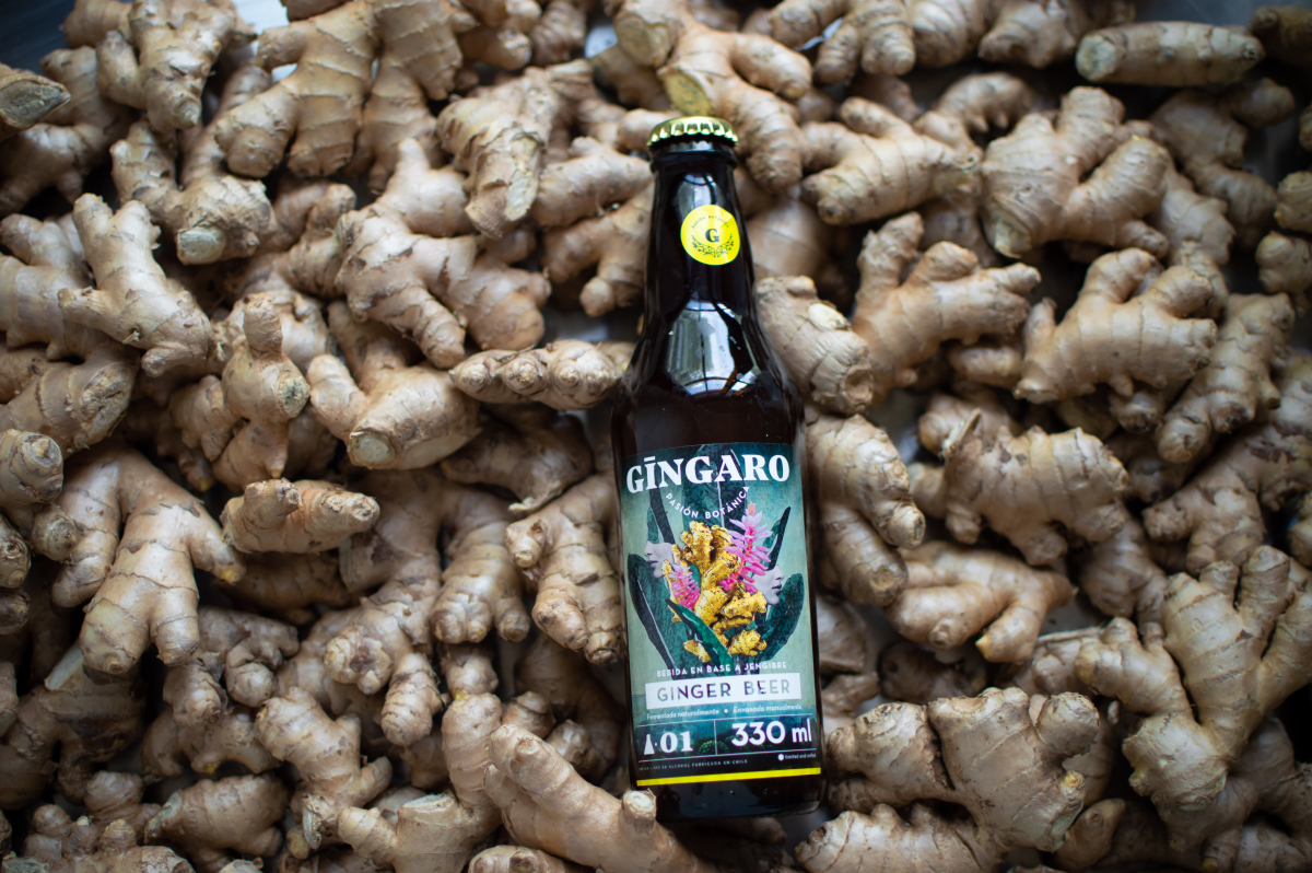 Gingaro: La Ginger Beer natural con nutrientes beneficiosos para el ...