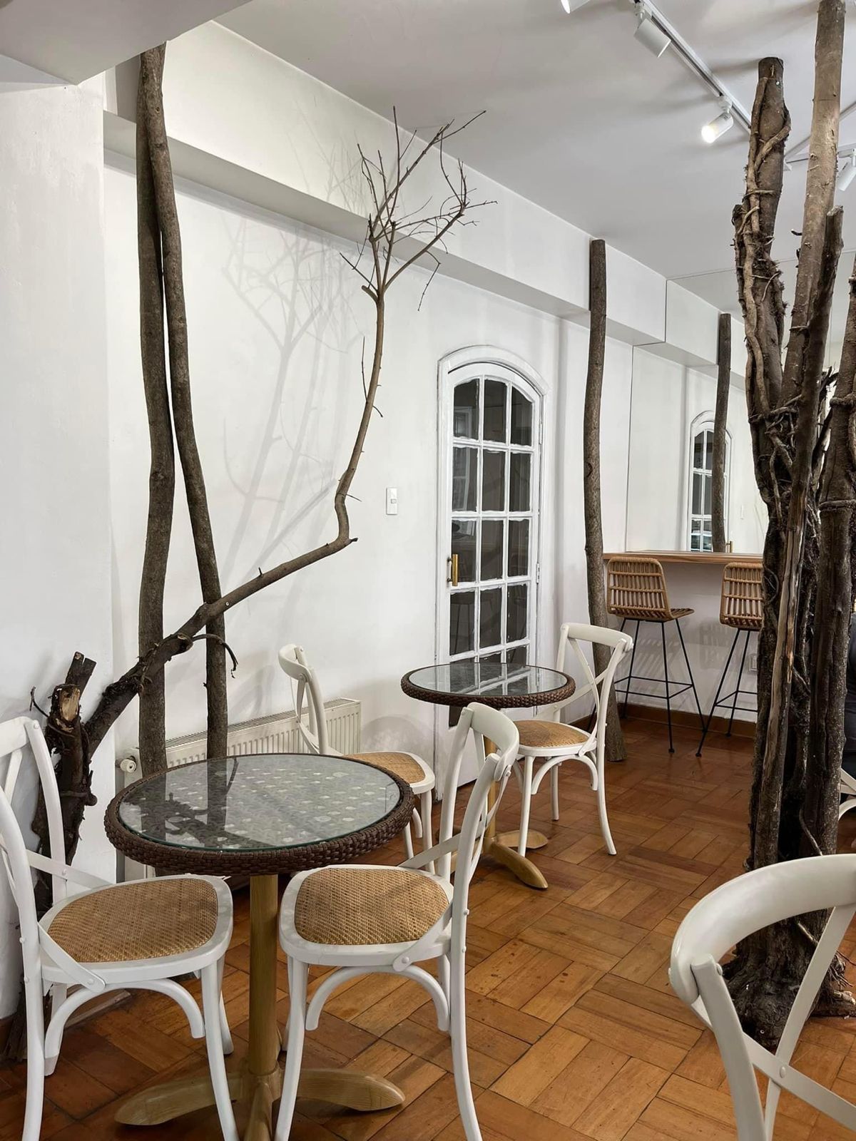 LA FORESTA: CAFETERÍA INSPIRADA EN SABORES Y SENSACIONES DE LOS BOSQUES ...