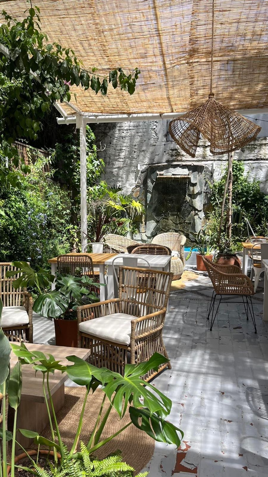 LA FORESTA: CAFETERÍA INSPIRADA EN SABORES Y SENSACIONES DE LOS BOSQUES ...