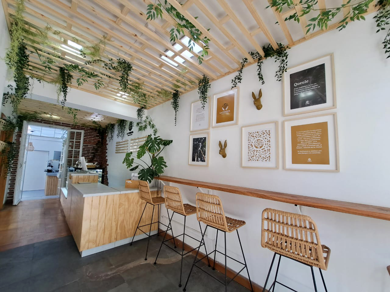 LA FORESTA: CAFETERÍA INSPIRADA EN SABORES Y SENSACIONES DE LOS BOSQUES DEL SUR - Como Me Gusta