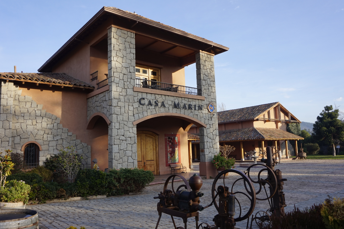 fiesta de la vendimia de Casa Marín: Un evento familiar con vinos ...